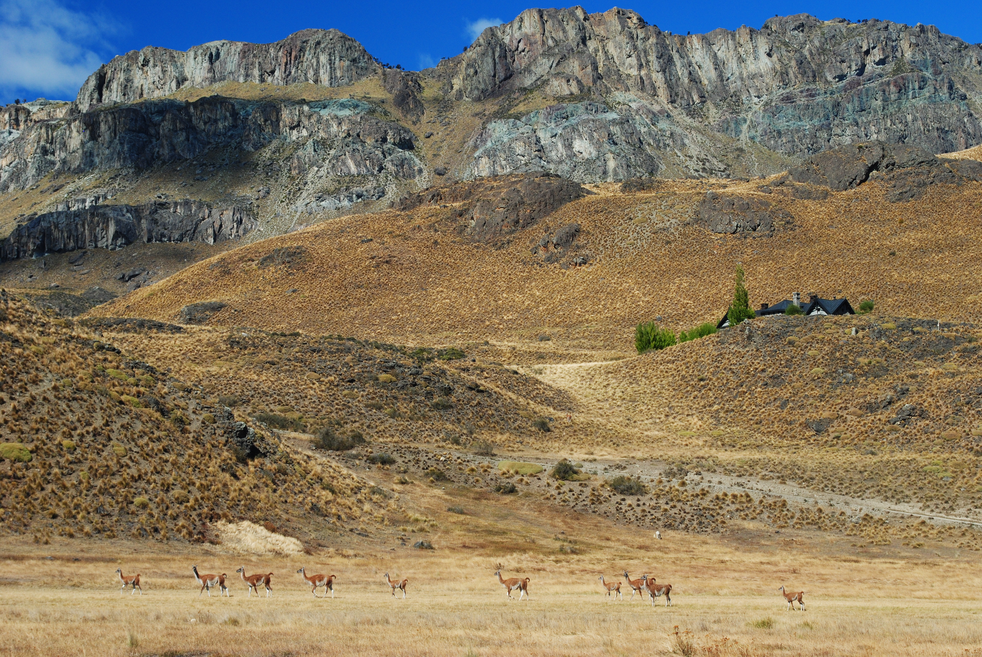 Aysen Region in Chile Tours | Swoop Patagonia