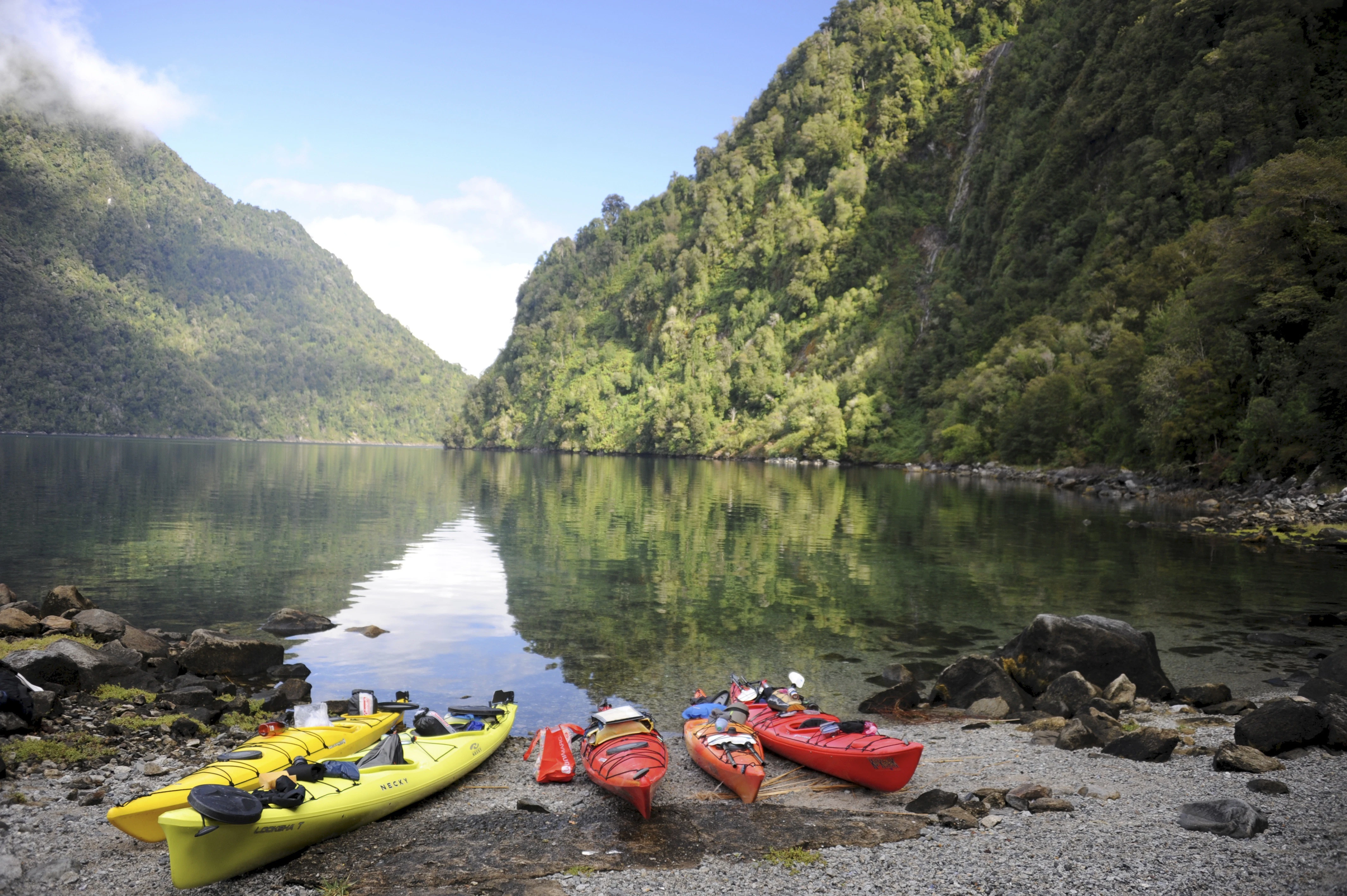 Discover Pumalín Douglas Tompkins National Park | Explore with Swoop ...