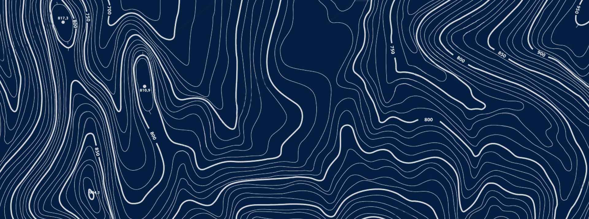 Torres del Paine Animals | Swoop Patagonia