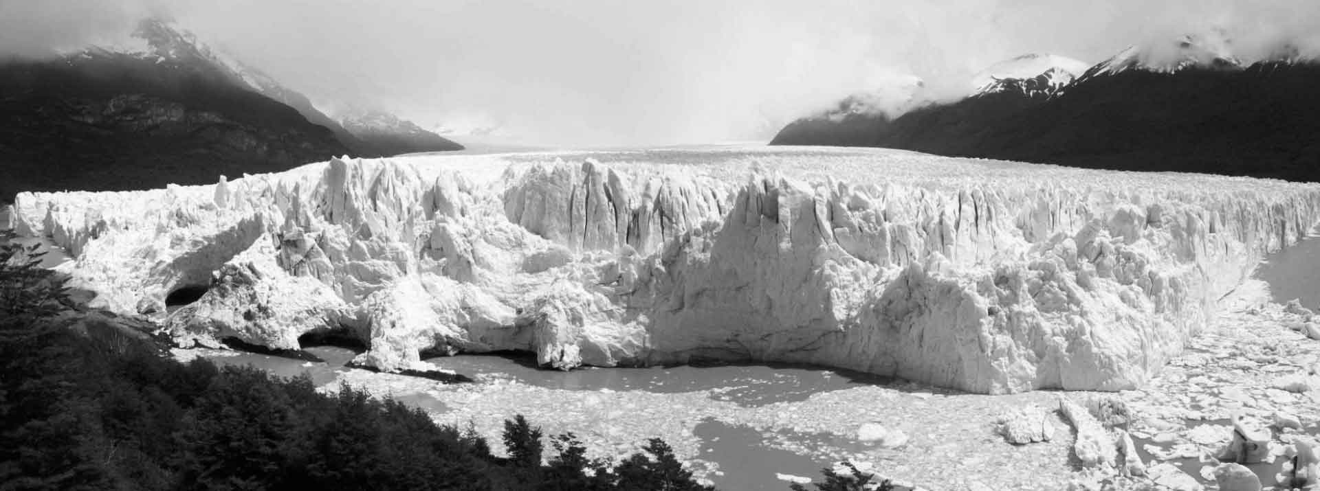 Puma tracking and puma safaris in Patagonia | Swoop Patagonia